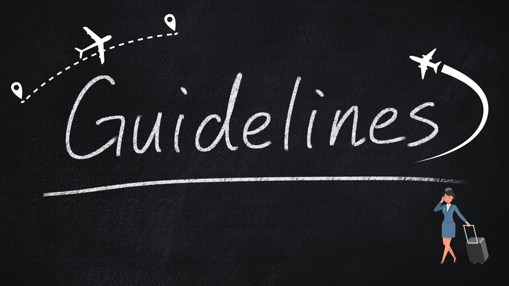 Up in the Air: Decoding DGCA's Cabin Crew Training & Licensing Manual!