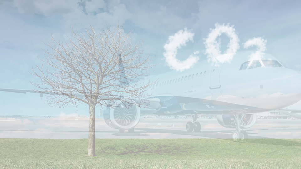 Flying towards a Sustainable Future: The Importance of Decarbonisation ...