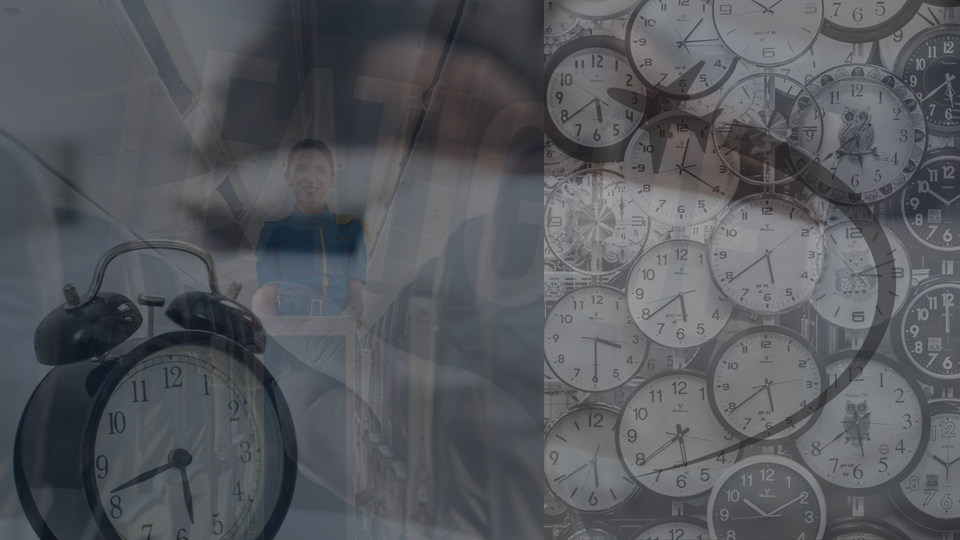 Understanding the Window of Circadian Low: Optimizing Performance and ...